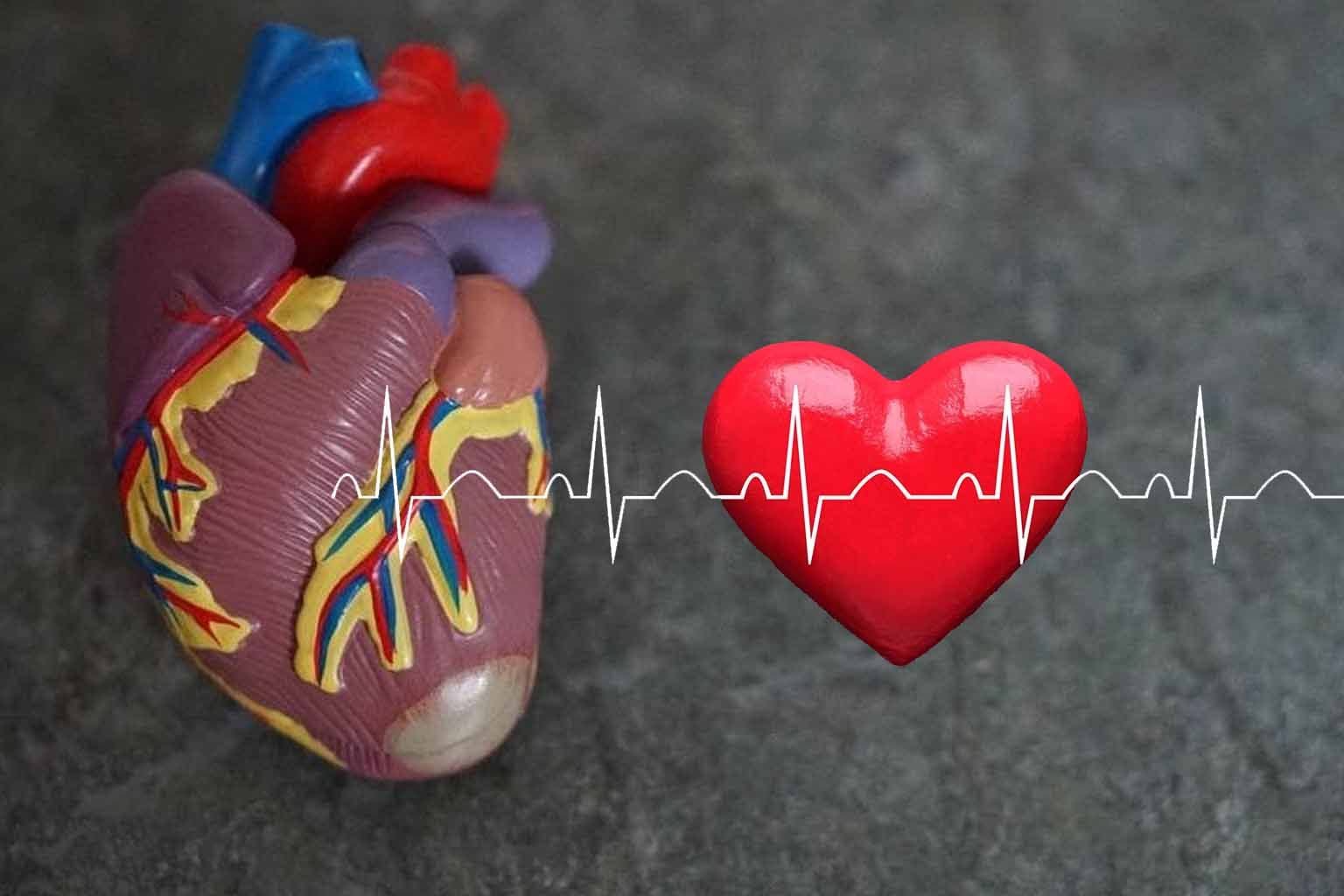 What Are The Causes Of Heart Palpitations?
