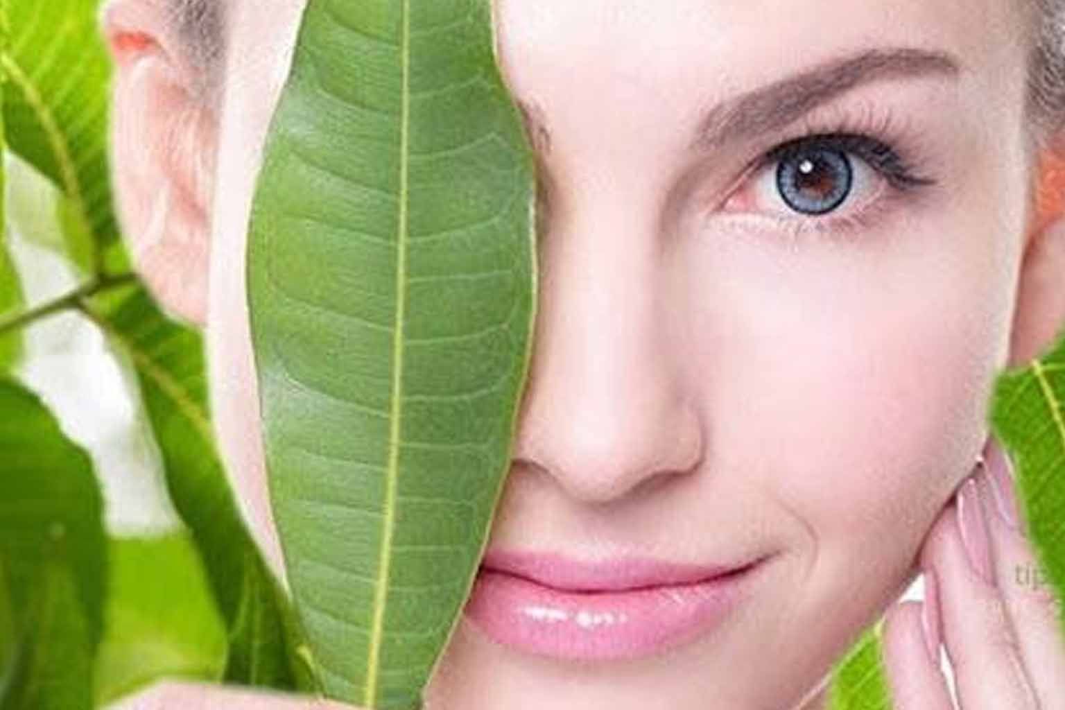 All In One Benefits Of Neem