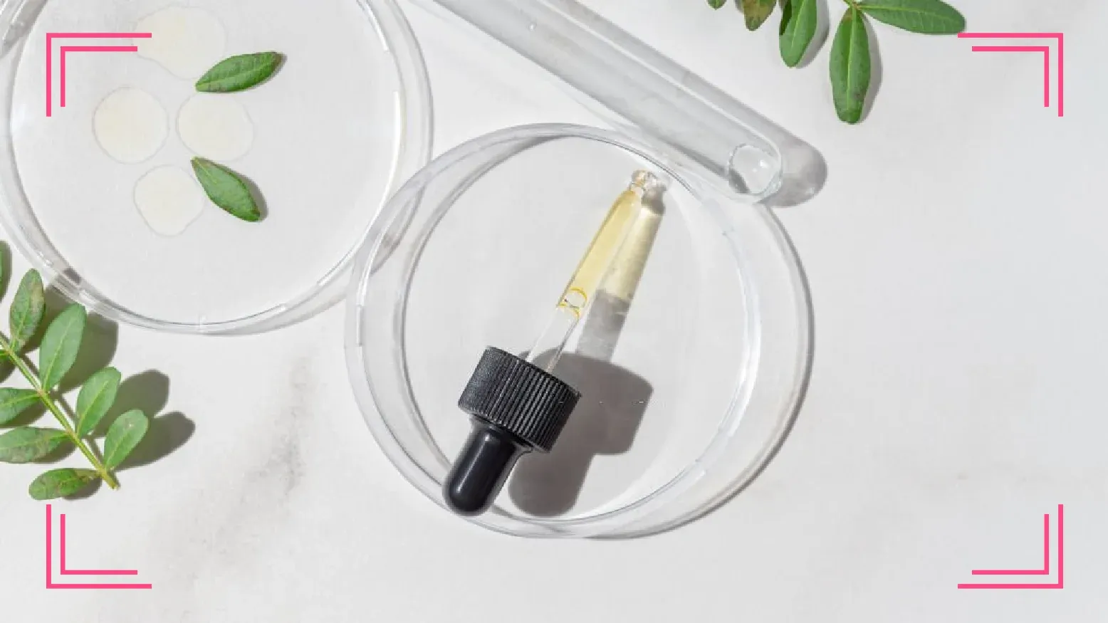 What Are Biotech Beauty Products? Top Biotech Beauty Brands