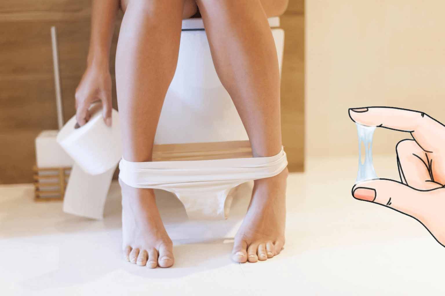 The Cervical Mucus Method To Detect Ovulation