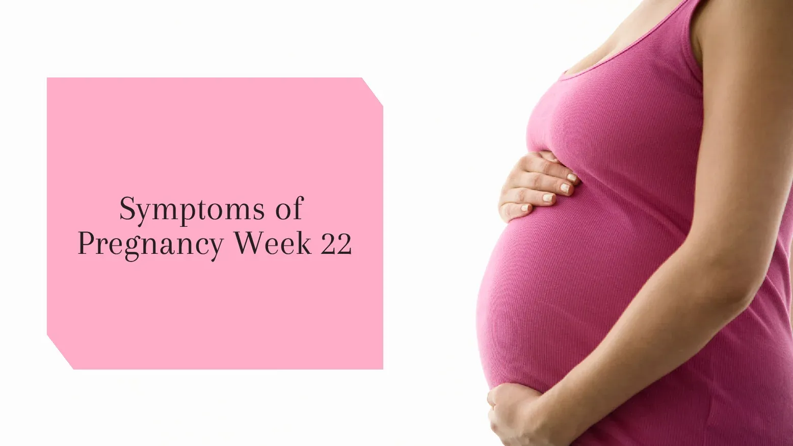 Pregnancy Week 22: Your Baby Bump Is Slowly Coming To Life